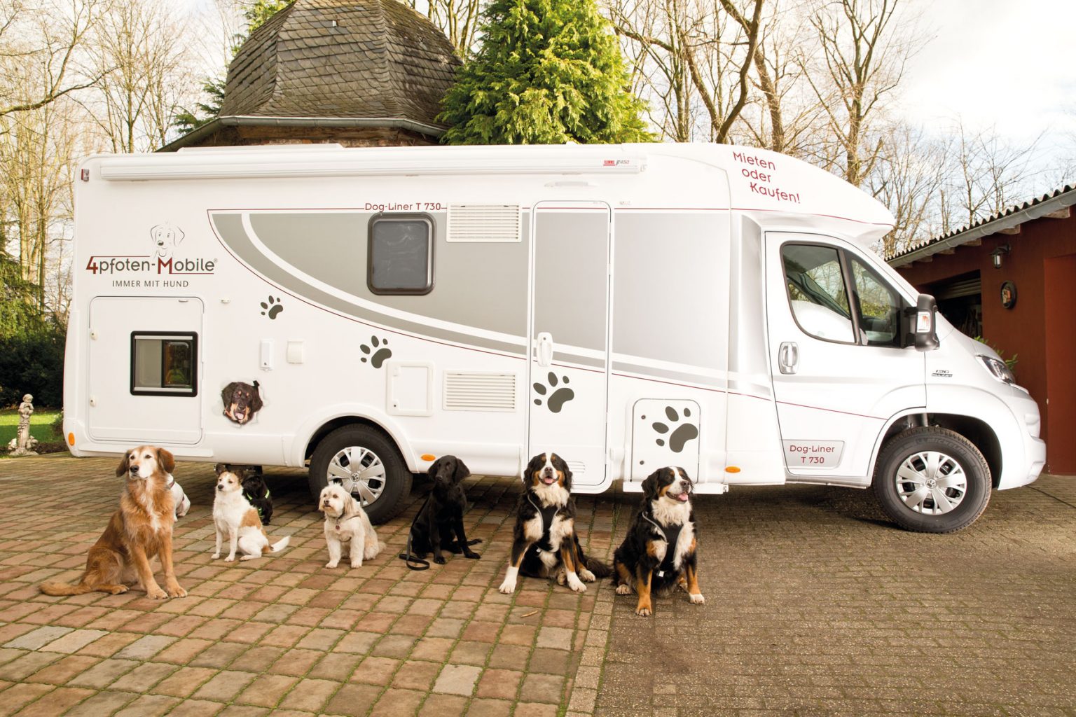 The 10 Best Travel Vans for Traveling with a Dog